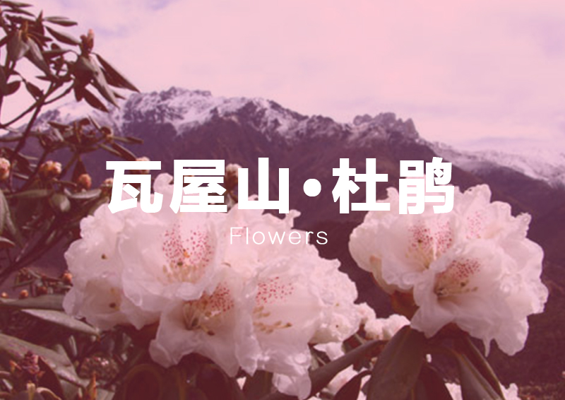 成都户外拓展大全-杜鹃拓展基地-瓦屋山拓展培训基地-木也拓展